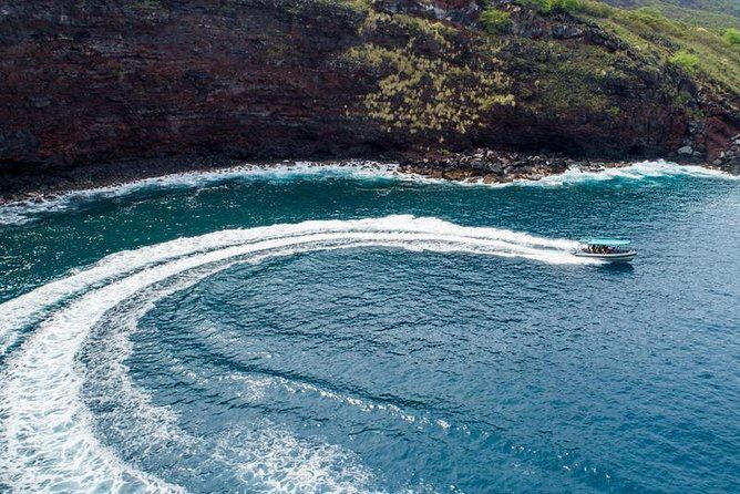 Premium Kona Coast Morning Snorkel - What to Expect: A Day in the Water