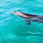 Premium Non-Private 3 Hour Crab Island and Eco Tour with Bathroom - What the Tour Includes and How It’s Structured
