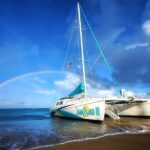 Premium Sunset Dinner Cruise from Kaanapali Beach - The Real Talk: Value & Critique