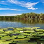 PREMIUM TOUR SMALL GROUP From Bucharest to the Danube Delta - Who Should Consider This Tour?