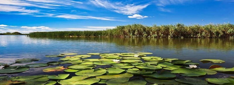PREMIUM TOUR SMALL GROUP From Bucharest to the Danube Delta - Who Should Consider This Tour?