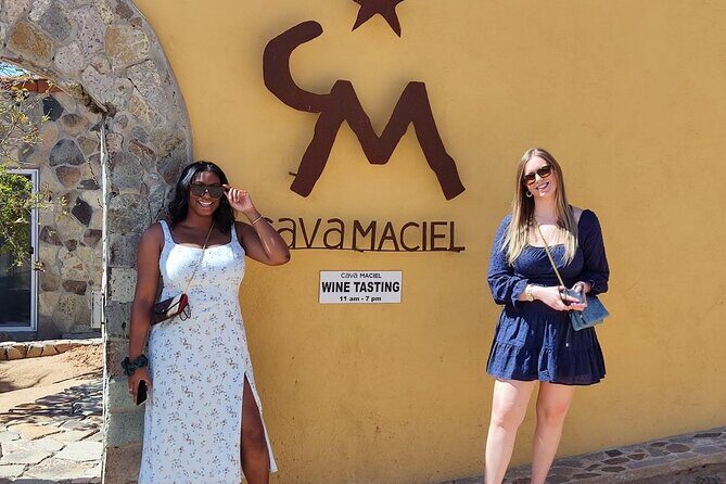 Premium Valle de Guadalupe Wine and Food Tour - Why This Tour Offers Great Value
