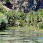 Preveli Beach and Damnoni Kourtaliotikowaterfalls from Rethymno - Practical Details and Value
