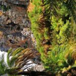 Preveli Beach & Palm Forest :Full-Day Tour with Lunch Box - An In-Depth Look at the Tour Itinerary