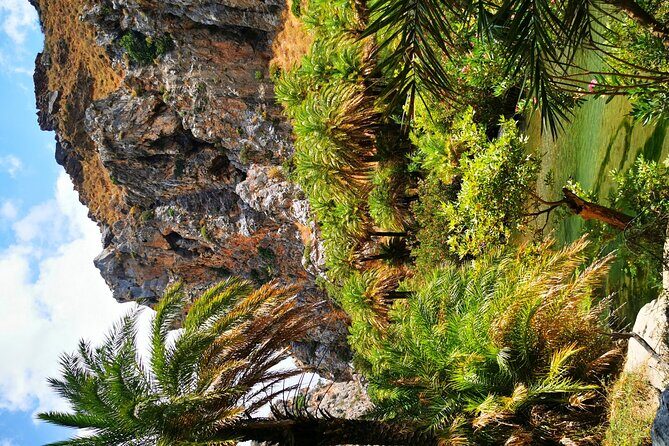 Preveli Beach & Palm Forest :Full-Day Tour with Lunch Box - An In-Depth Look at the Tour Itinerary