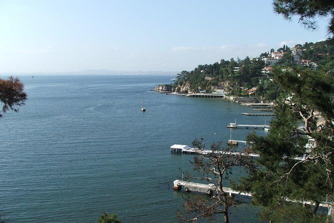 Princes' Islands Tour from Istanbul - The Itinerary: From Istanbul to the Islands