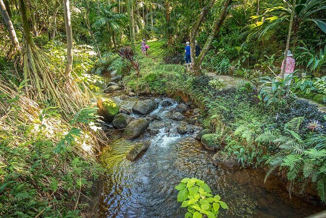 Princeville Botanical Gardens Tour and Chocolate Tasting Ticket - The Cacao Grove and the Art of Chocolate Making