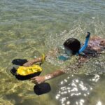 Princeville - Snorkeling Shore Excursion - The Experience in Action: What Makes it Special