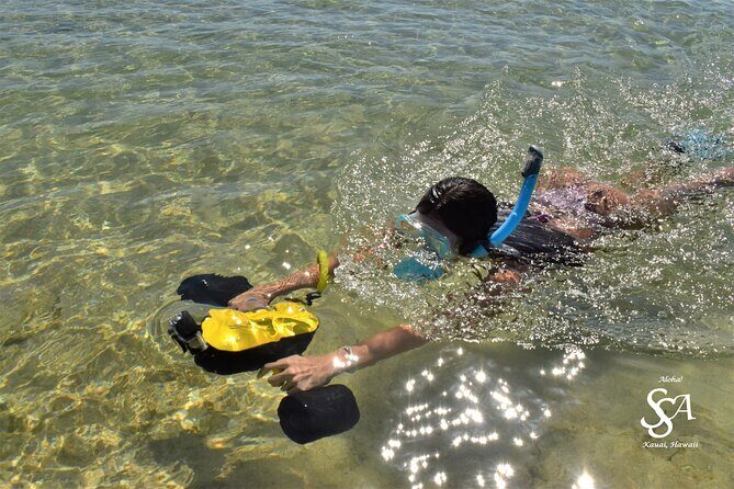 Princeville - Snorkeling Shore Excursion - The Experience in Action: What Makes it Special
