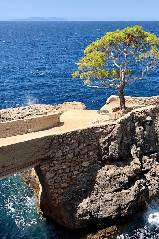 Privat - Hvar south shore and Pakleni islands experience. - The Itinerary Breakdown: What to Expect