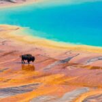 Private 2-Day Yellowstone Tour - Upper and Lower Loop - Who Will Love This Tour?