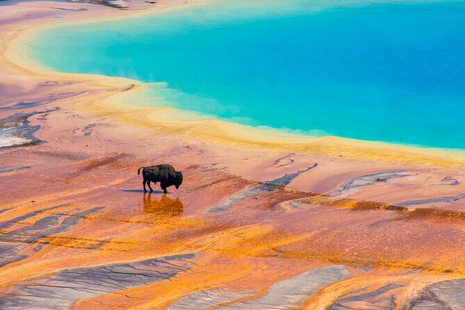 Private 2-Day Yellowstone Tour - Upper and Lower Loop - Who Will Love This Tour?