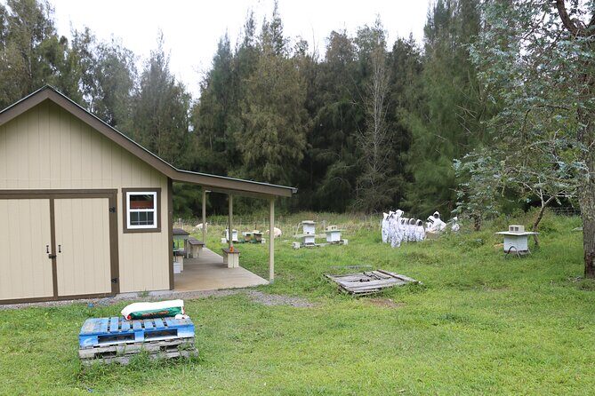 Private 2-Hour Beekeeping Classroom Tour in Honokaa - What Past Participants Say