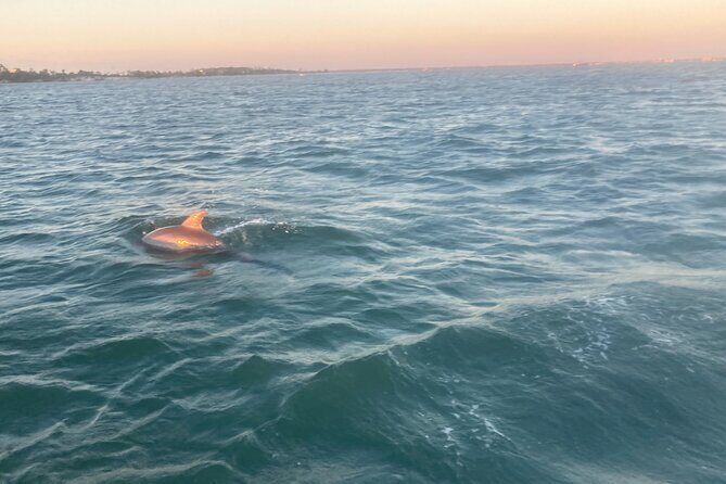 Private 2-Hour Dolphin and Sightseeing Tour - Itinerary Breakdown: What Makes Each Stop Special