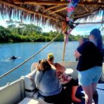 Private 2 hour Dolphin Sightseeing tour- Melbourne - What the Tour Offers in Detail