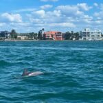 Private 2-Hour Dolphin Watching Cruise in St. Petersburg, FL - Final Thoughts