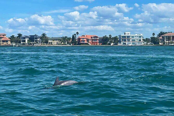 Private 2-Hour Dolphin Watching Cruise in St. Petersburg, FL - Final Thoughts