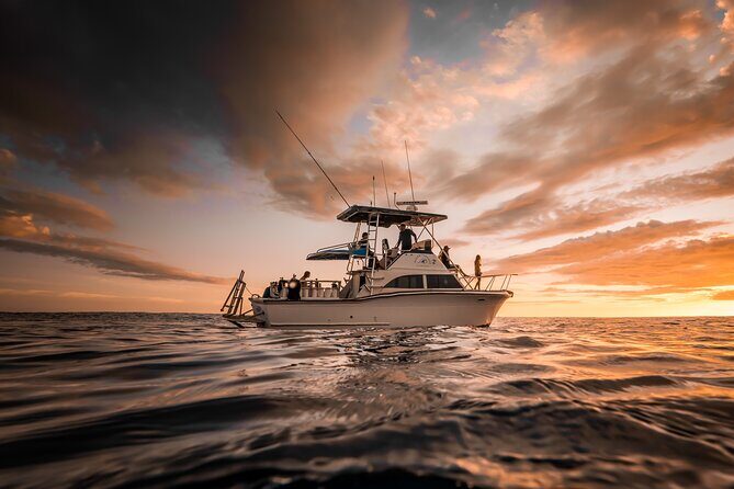 Private 3.5 hr Snorkel Charter in Waikiki - What Makes This Tour Special?