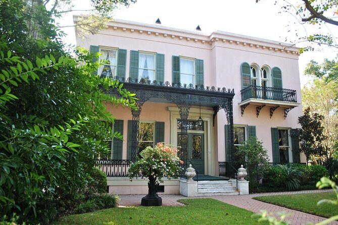 Private 3-hour City Tour of New Orleans with driver and guide - Hotel pick up - The Experience: What You Can Expect