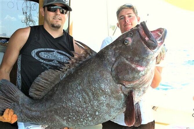 Private 4-Hour Big Game Deep Sea Fishing Charter in Fort Lauderdale - Equipment and Gear: No Hassles, All Fun
