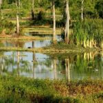 Private 4 Hour Everglades Tour Experience in the Wilderness - Key Points