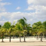 Private 4-hours City Tour of Miami from Miami Airport with private driver/guide - Why the Price Reflects Value