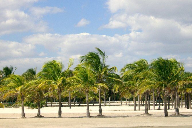 Private 4-hours City Tour of Miami from Miami Airport with private driver/guide - Why the Price Reflects Value