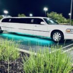 Private 6 Hours Luxury SUV and Limousines Transportations - Why We Think This Tour is a Great Choice