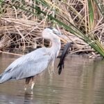 Private 90 Minutes Everglades Airboat Adventure - What Sets this Tour Apart?