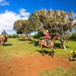 Private Advanced Trail Ride - What the Itinerary Looks Like