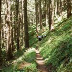 Private Adventure Mountain Biking in Seattle's Eastside - Who Would Enjoy This Tour?