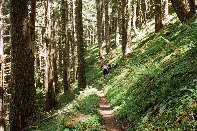 Private Adventure Mountain Biking in Seattle's Eastside - Who Would Enjoy This Tour?