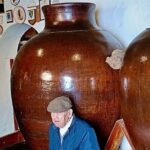 Private Alentejo Wine Tour & Évora Heritage from Lisbon - Practical Considerations