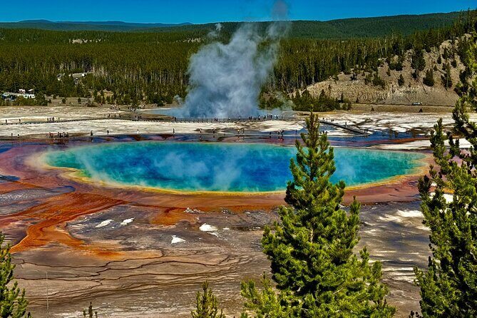Private All-inclusive Yellowstone Lower LoopThe Volcano Tours - The Value of a Guided Yellowstone Experience