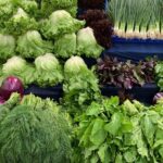 Private and guided VEGETARIAN / VEGAN tour of Istanbul - Who Is This Tour Best For?