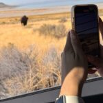 Private Antelope Island & Great Salt Lake Tour - Who Will Love This Tour?