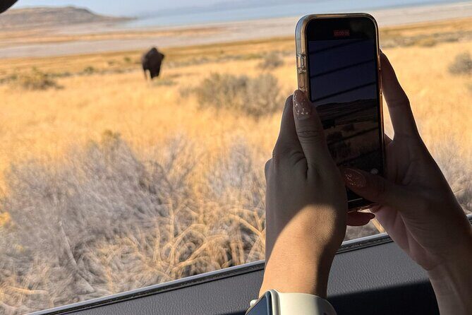 Private Antelope Island & Great Salt Lake Tour - Who Will Love This Tour?