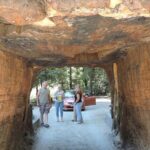 Private Avenue of the Giants Redwoods Day Trip from San Francisco - Detailed Breakdown of the Itinerary
