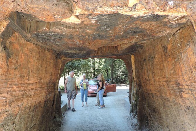 Private Avenue of the Giants Redwoods Day Trip from San Francisco - Detailed Breakdown of the Itinerary