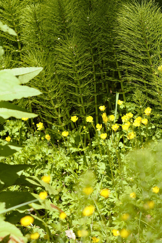 Private Bainbridge Island Discovery Tour - An In-Depth Look at the Itinerary