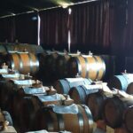 Private Balsamic vinegar & Parmigiano Reggiano factory visits - Why This Tour Matters: An Authentic Taste of Modena