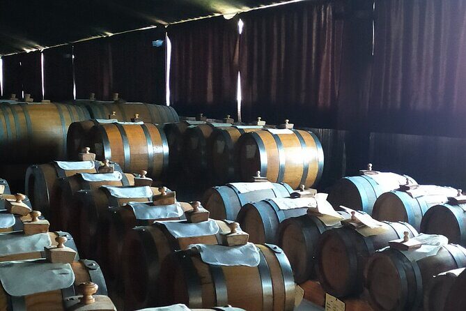 Private Balsamic vinegar & Parmigiano Reggiano factory visits - Why This Tour Matters: An Authentic Taste of Modena