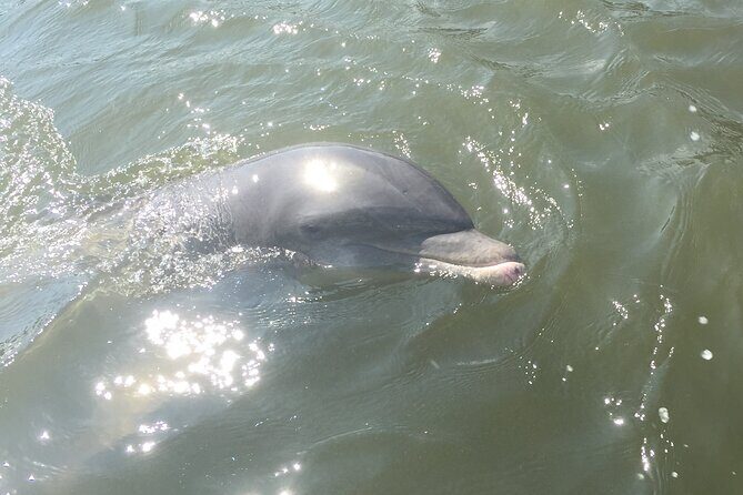 Private Best of Marco Island Tour - The Itinerary: A Closer Look at Each Stop