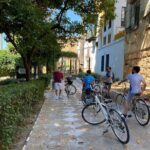 Private Bike Tour Seville - Practical Details: What to Expect