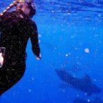 Private Biologist-Led Sea'fari (up to 10 passengers) - Why the Price Can Be Justified