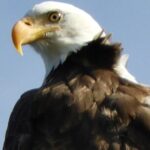 Private Birding Hike in Rocky Mountain National Park - What to Expect on the Hike