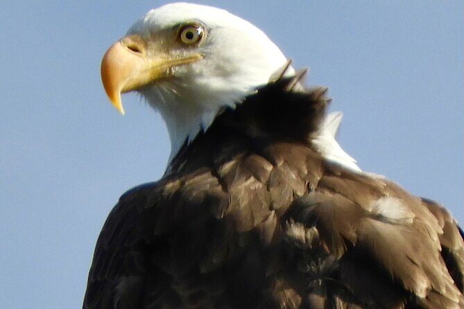 Private Birding Hike in Rocky Mountain National Park - What to Expect on the Hike