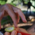 Private Botanical Garden Experience in the Heart of Maui - Final Thoughts