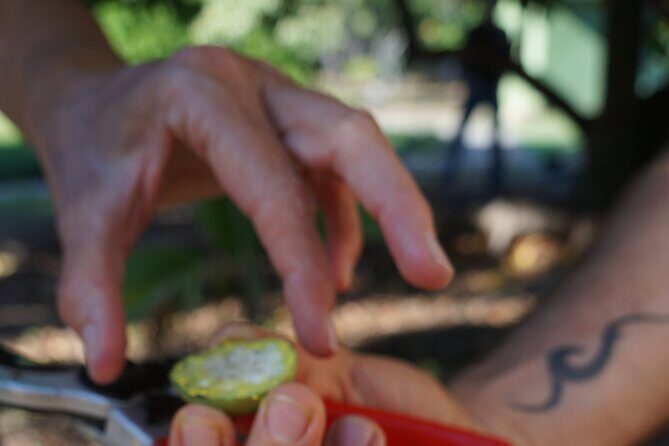 Private Botanical Garden Experience in the Heart of Maui - Final Thoughts
