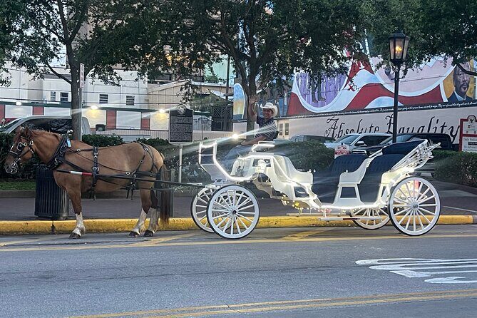 Private Carriage Tour of Galveston - Why a Private Horse-Drawn Carriage Tour of Galveston Stands Out